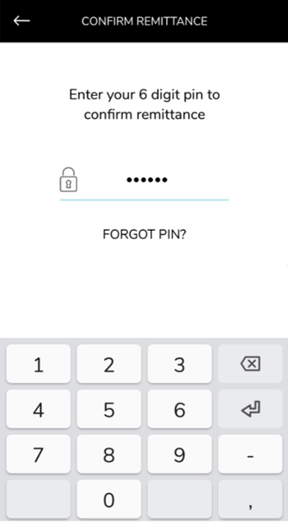 Remit Overseas | Send Money Home